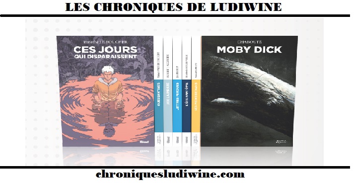 Une collection de BD poche - Les chroniques de Ludiwine